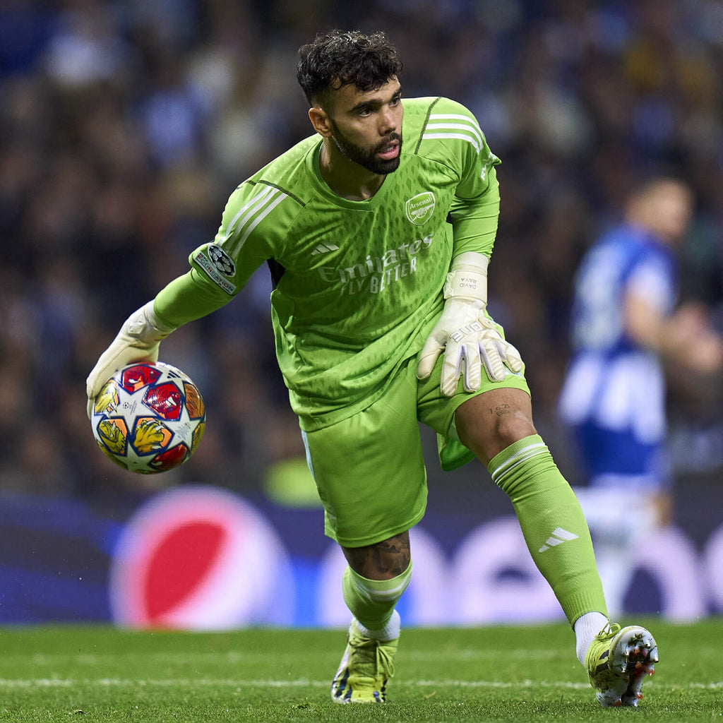 GEO 3.0 Vision Type-R Goalkeeper Gloves | David Raya Goalie Gloves ...