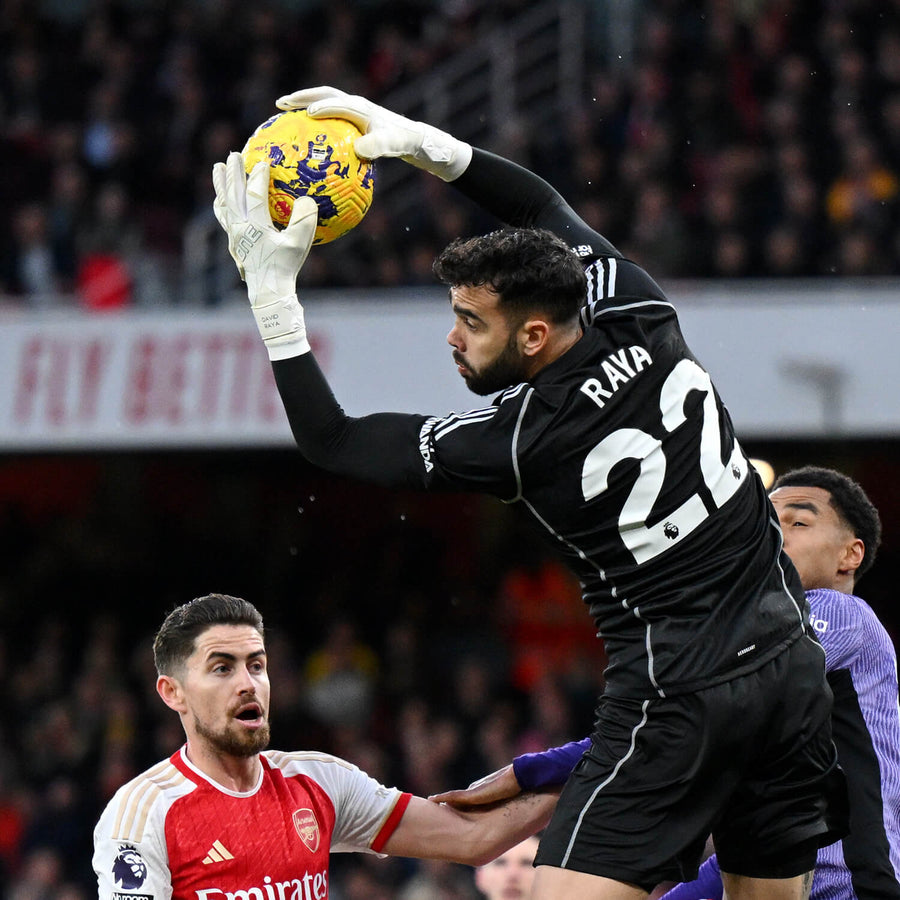 GEO 3.0 Vision Type-R Goalkeeper Gloves | David Raya Goalie Gloves ...